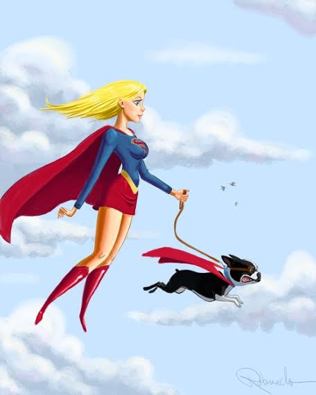 Boston terrier gift, Supergirl "Walks" her Boston Terrier superhero ar – Rubenacker Studios